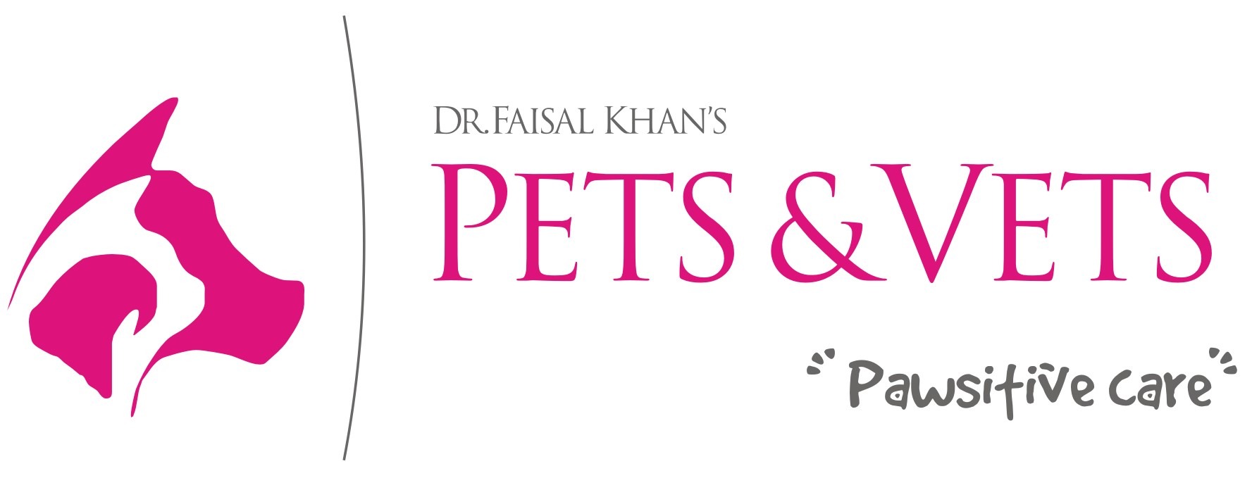 major & Minor Surgeries - Pets&Vets Clinic